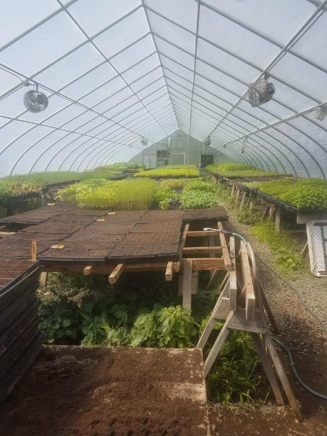 Free Union Grass Farm