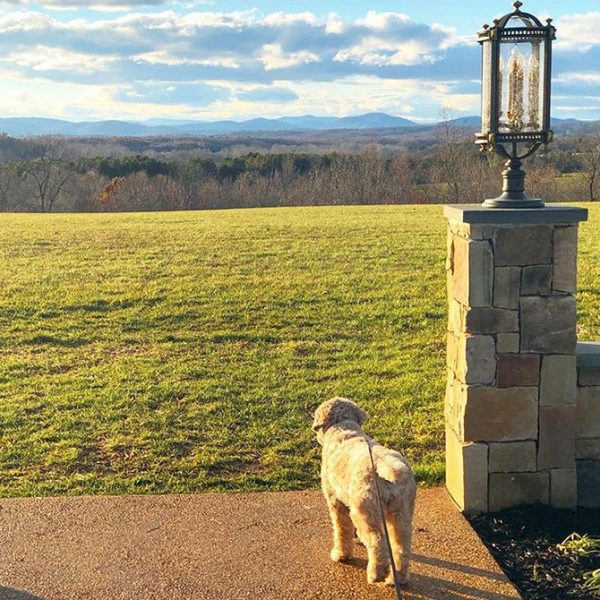 A: We are located in southern Albemarle county about 25 minutes away ...