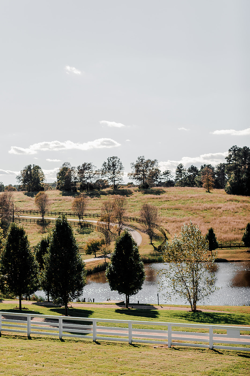 Stay - Mount Ida Reserve