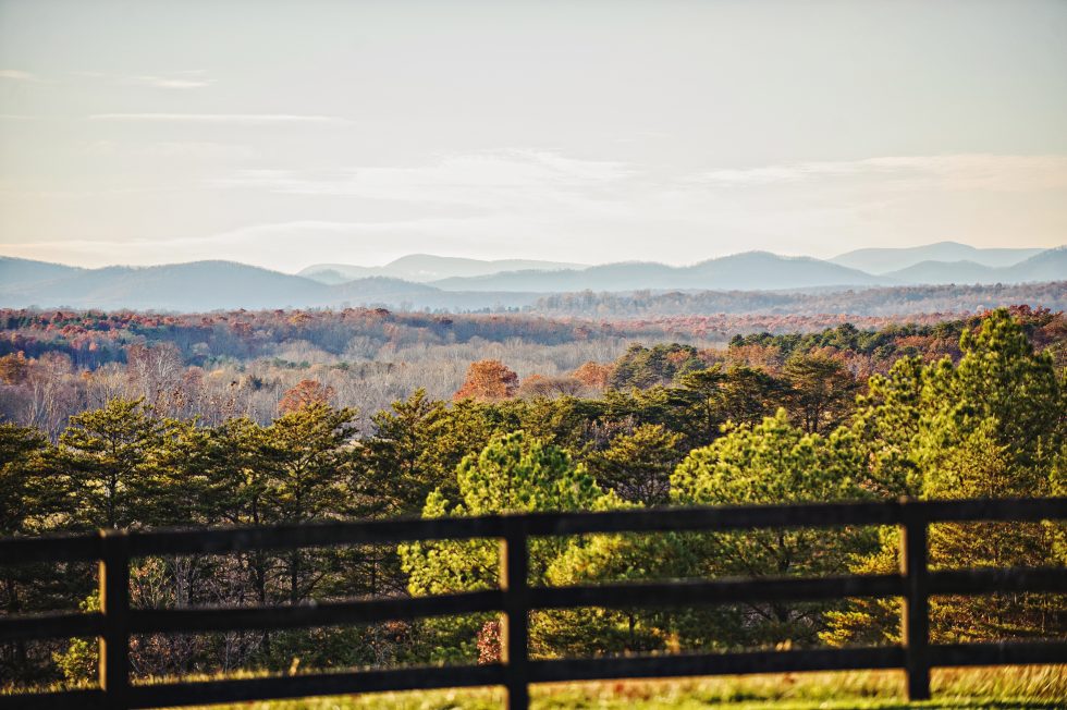 Stay - Mount Ida Reserve