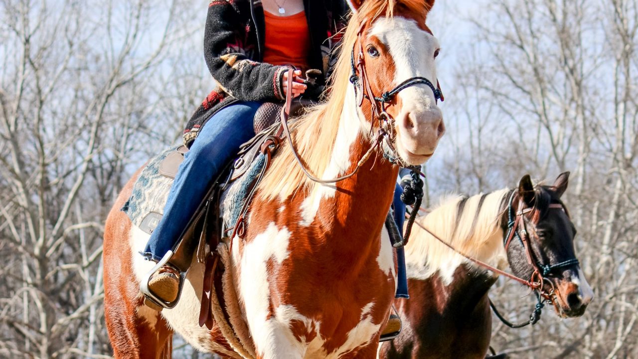 With professional instructors as your guides, this adventure is ...